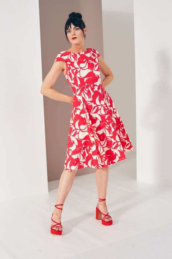 Special Occasion | Anne Wilkinson